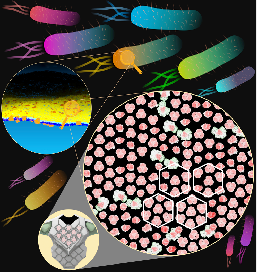 New paper from Kavli INsD Researchers in collaboration with Oxford’s ...