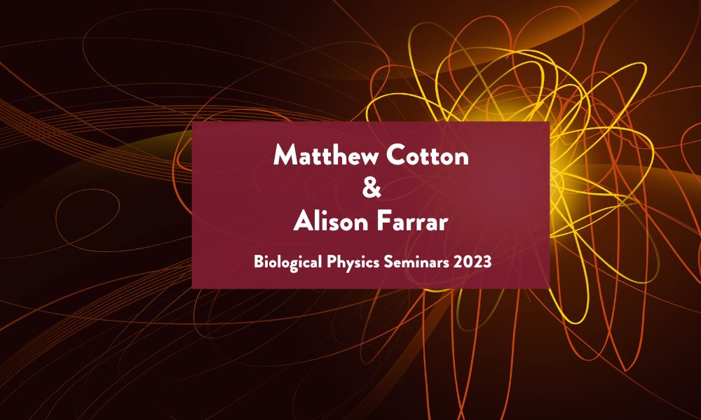 Biological Physics Seminars 2023: Sonia Contera & Alison Farrar ...